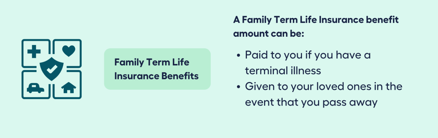 Family Life Insurance - My Money Sorted