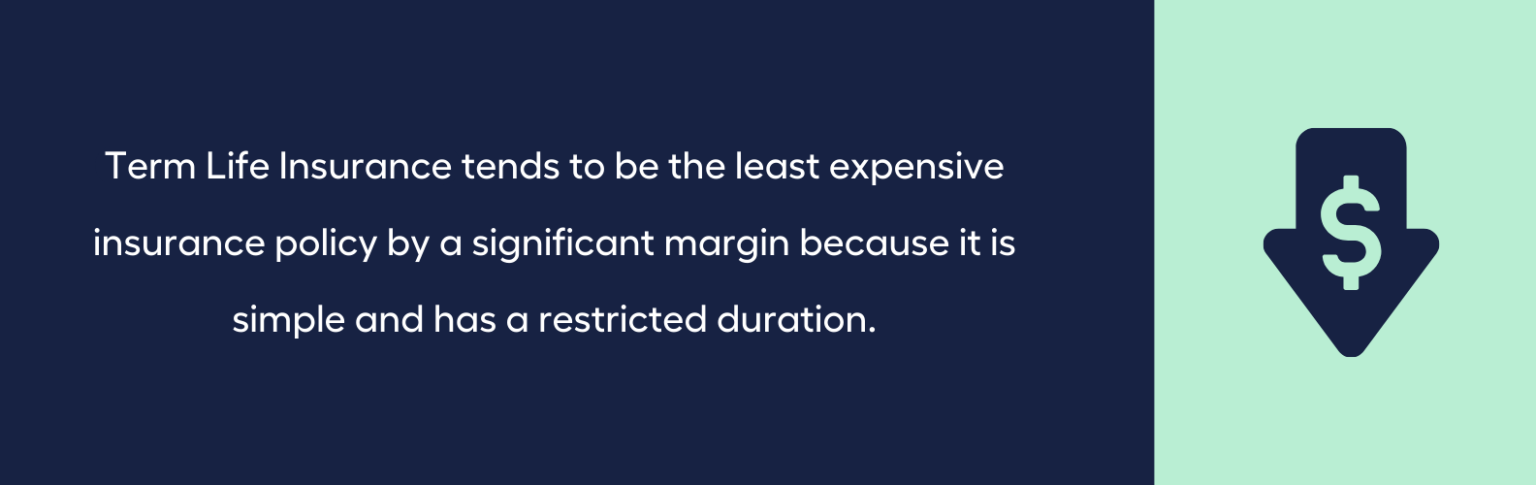 Term Life Insurance - My Money Sorted