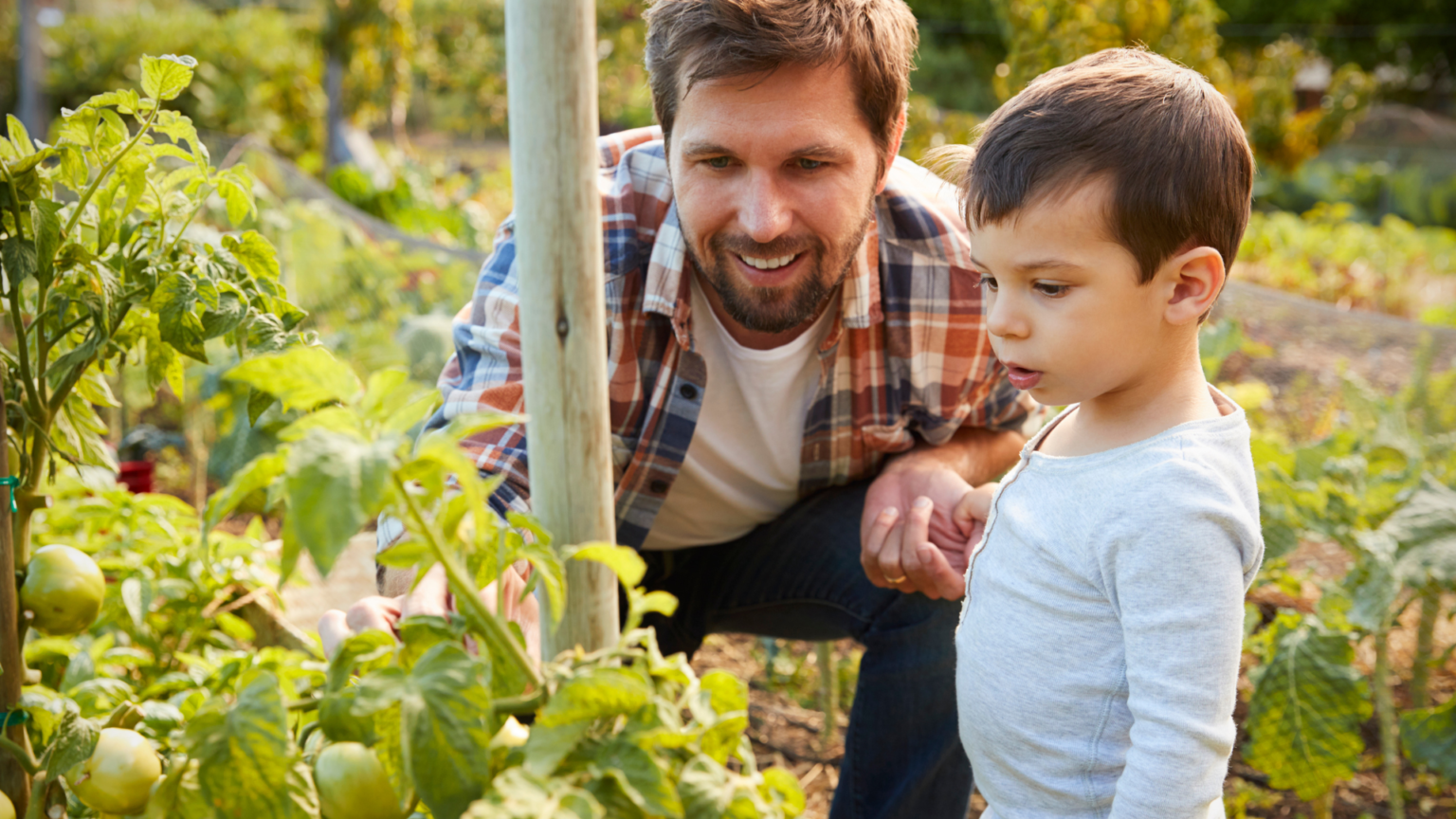 Underrated Investments: Education Bonds Explained - My Money Sorted