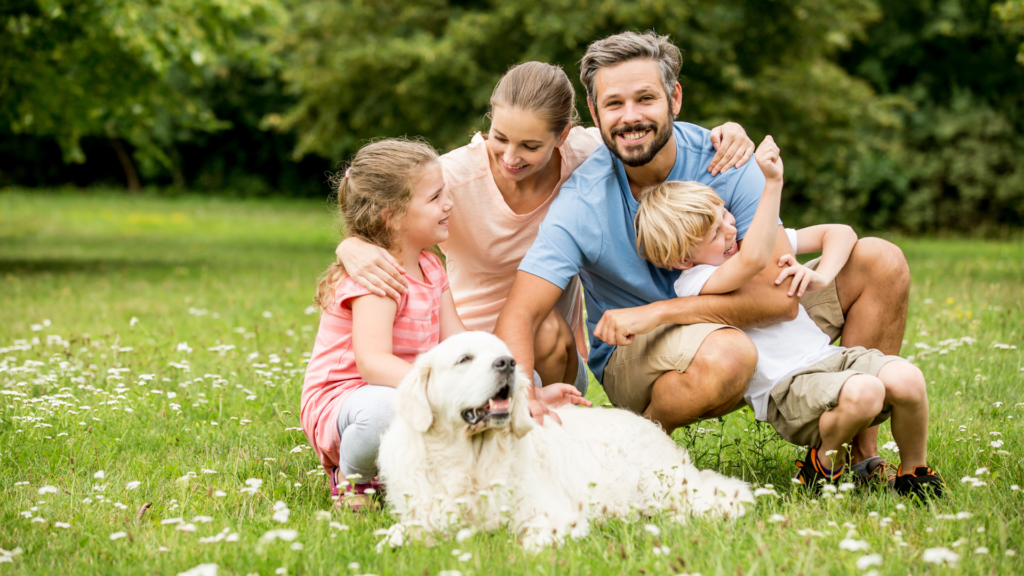 Understanding Your Financial Position - My Money Sorted